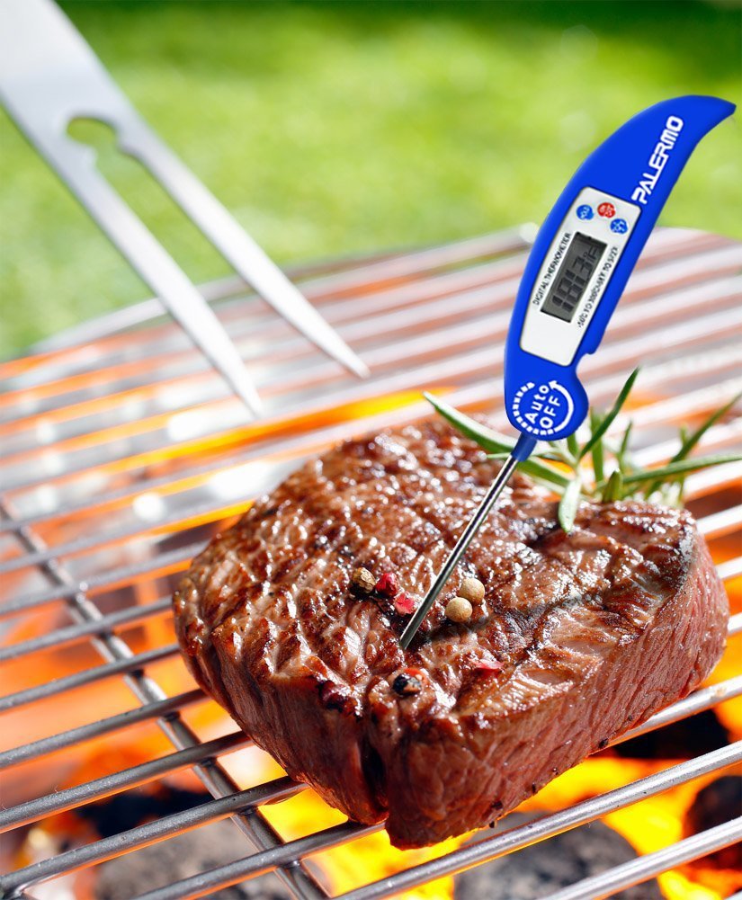 Top 15 Best Digital Meat Thermometers For Smoker/Grilling - Best Smoker